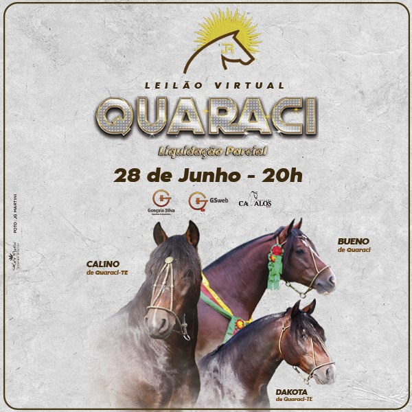 LEILÃO VIRTUAL QUARACI - Liquidação Parcial (Capitulo I) - Gonçalo Silva
