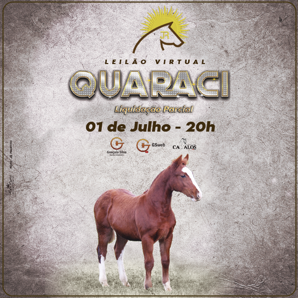 LEILÃO VIRTUAL QUARACI - Liquidação Parcial (Capitulo III) - Gonçalo Silva