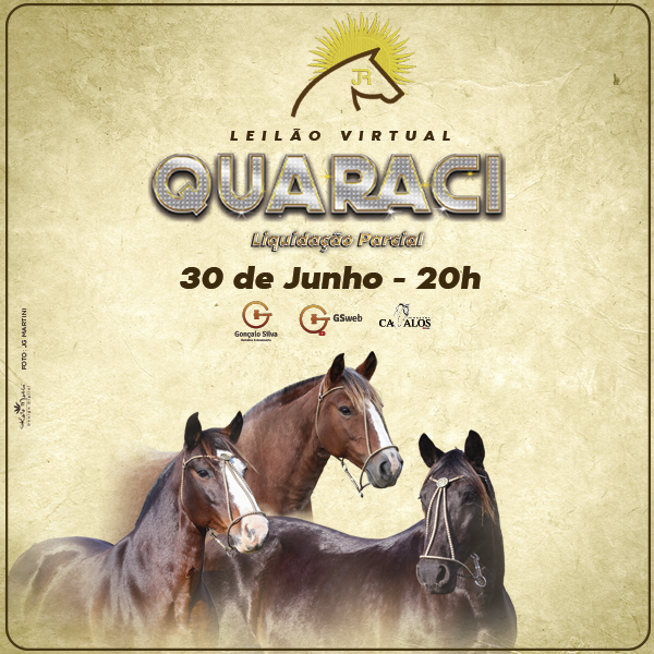 LEILÃO VIRTUAL QUARACI - Liquidação Parcial (Capitulo II) - Gonçalo Silva