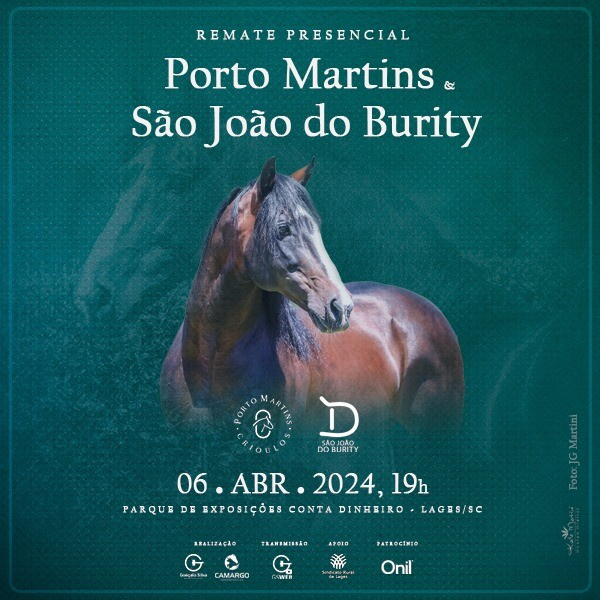 LEILÃO PORTO MARTINS & SÃO JOÃO DO BURITY - Gonçalo Silva