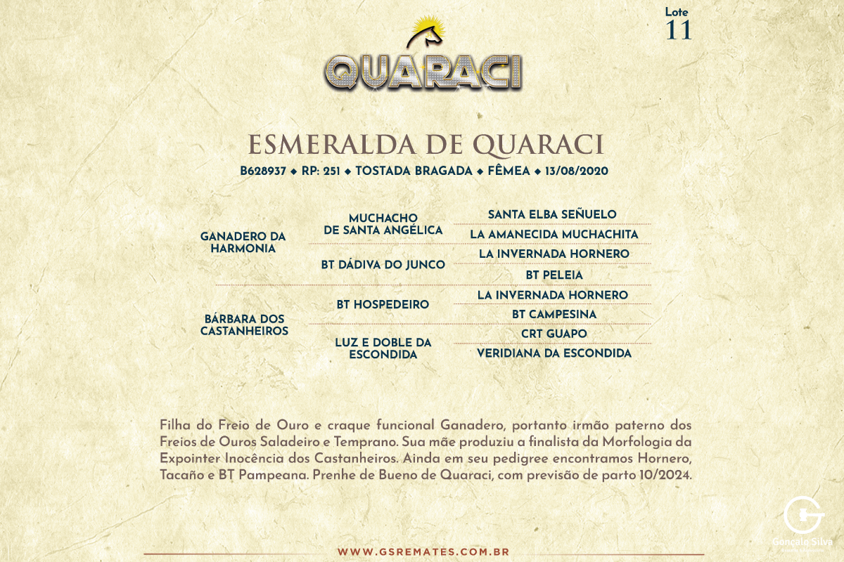Lote 11 do leilão LEILÃO VIRTUAL QUARACI - Liquidação Parcial (Capitulo ...