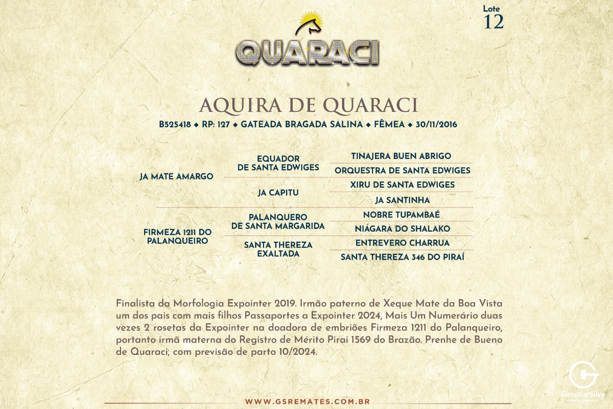 Lote 12 do leilão LEILÃO VIRTUAL QUARACI - Liquidação Parcial (Capitulo ...