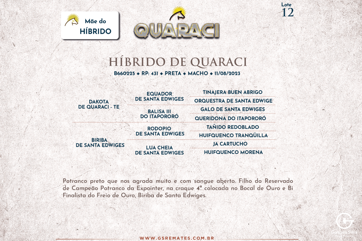 Lote 12 do leilão LEILÃO VIRTUAL QUARACI - Liquidação Parcial (Capitulo ...