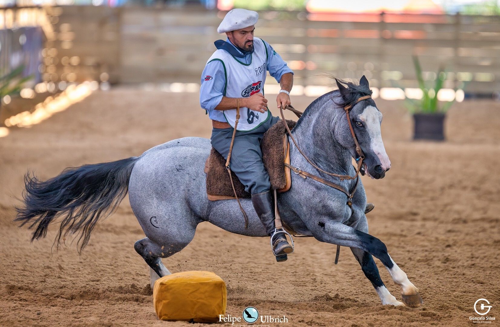 Lote 33 do leilão REMATE DIGITAL DE COBERTURAS EM PROL DA SANTA CASA E ...
