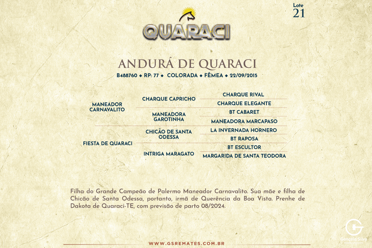 Lote 21 do leilão LEILÃO VIRTUAL QUARACI - Liquidação Parcial (Capitulo ...