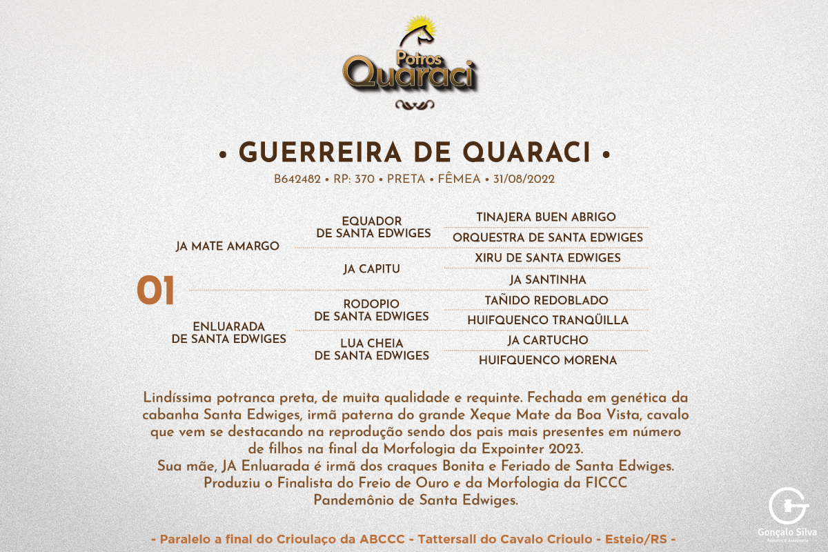Lote 01 do leilão LEILÃO POTROS QUARACI - Gonçalo Silva
